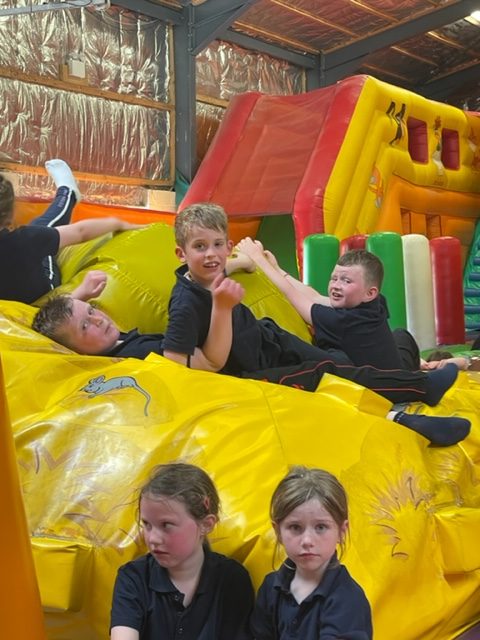Our school tour to Turoe Pet Farm - Clarecastle National School