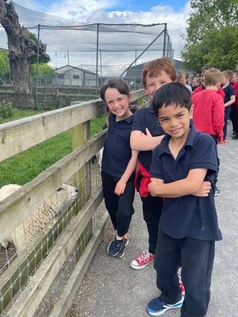 Our school tour to Turoe Pet Farm - Clarecastle National School